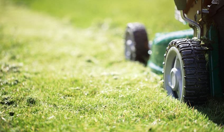 Comment Tondre Votre Gazon Dans Le Bon Sens - recit